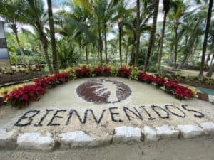 Tipping Etiquette in Cancún: Who to Tip, When, and How Much – Cancún ...