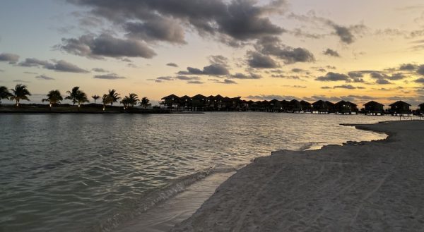 Bugs in Cancún: Essential Tips for a Worry-Free Vacation